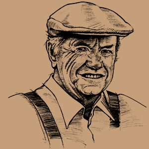 Home - Houwelings Tomatoes